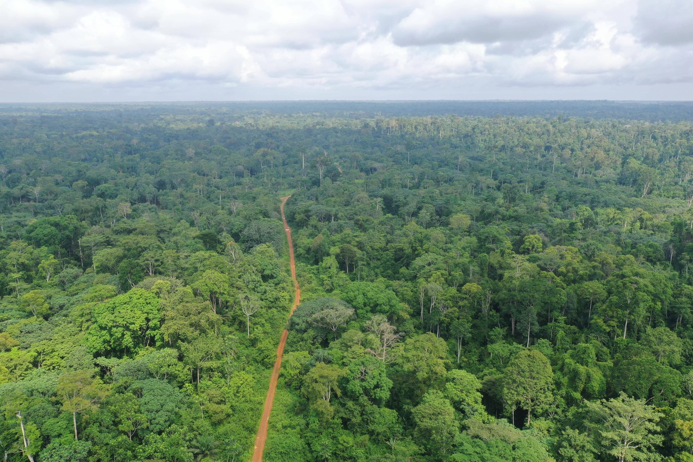 Atlas Forestier du Cameroun