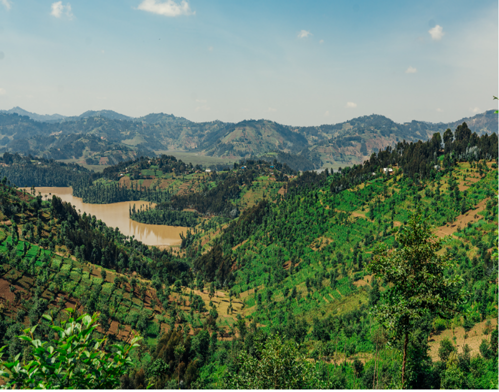 Atlas Forestier Interactif de la RDC