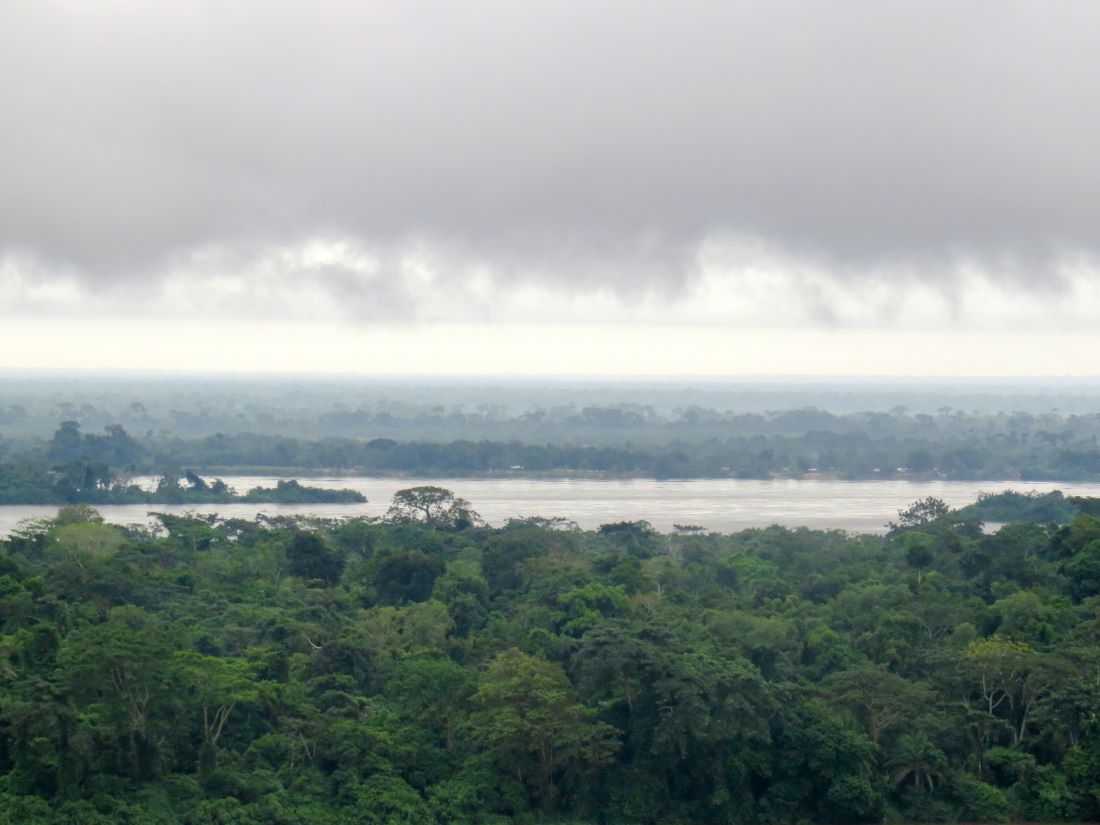 Atlas Forestier Interactif de la RDC