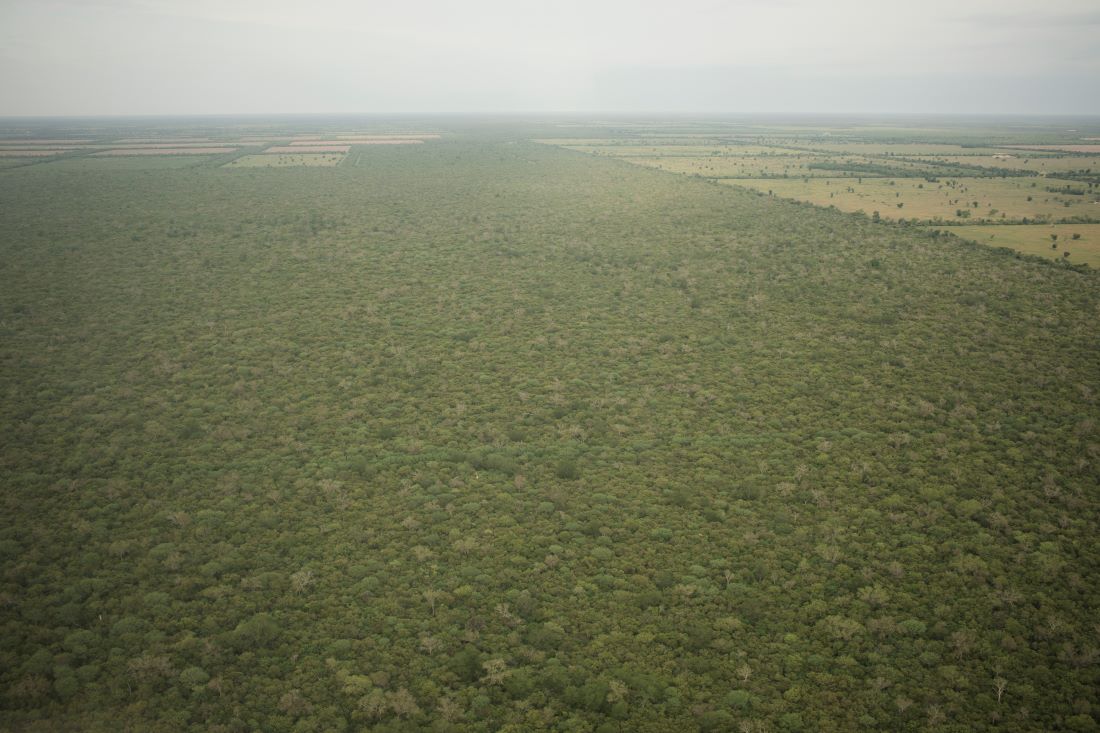 Atlas Forestier Interactif de la RDC