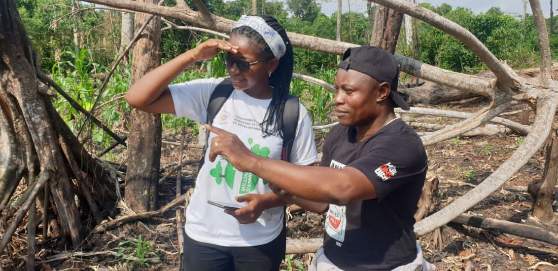 Atlas Forestier Interactif de la RDC