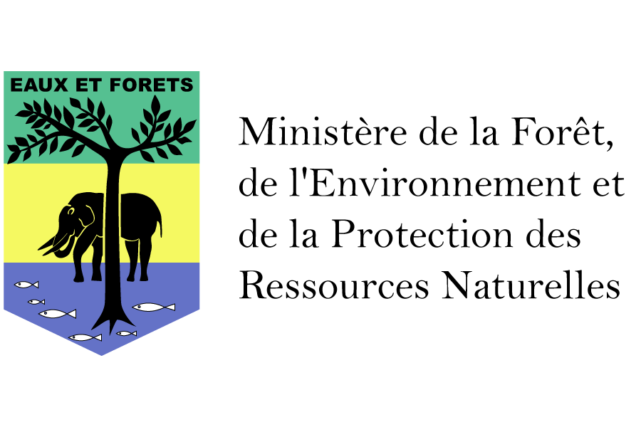 Foret Gabon